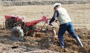 Rototilling: How To Do It Effectively – TopTillers.com