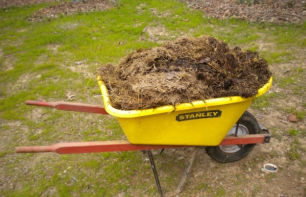 Buying The Best Wheelbarrow For Your Garden | TopTillers.com