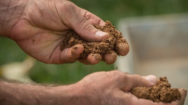 What You Need To Know To Till And Work Clay Soil – TopTillers.com
