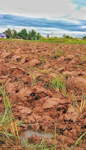 What You Need To Know To Till And Work Clay Soil – TopTillers.com